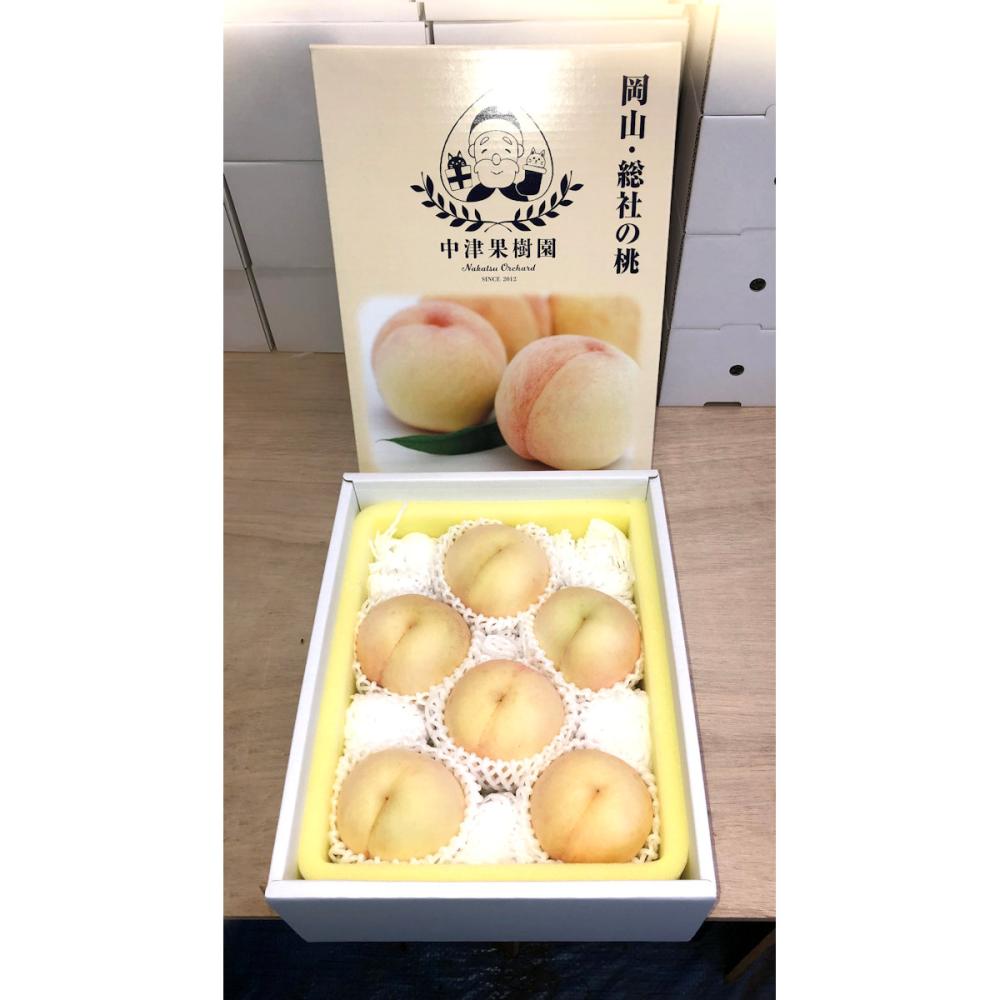 岡山県産 白麗 約2kg（6玉）【予約期限：8月15日】 の通販 | ホームセンター コメリドットコム